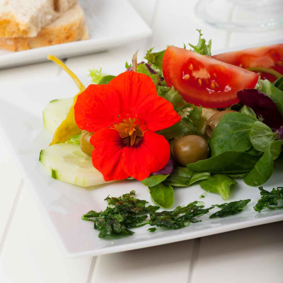 La capucine - Semer, cultiver et cuisiner - Ceercle
