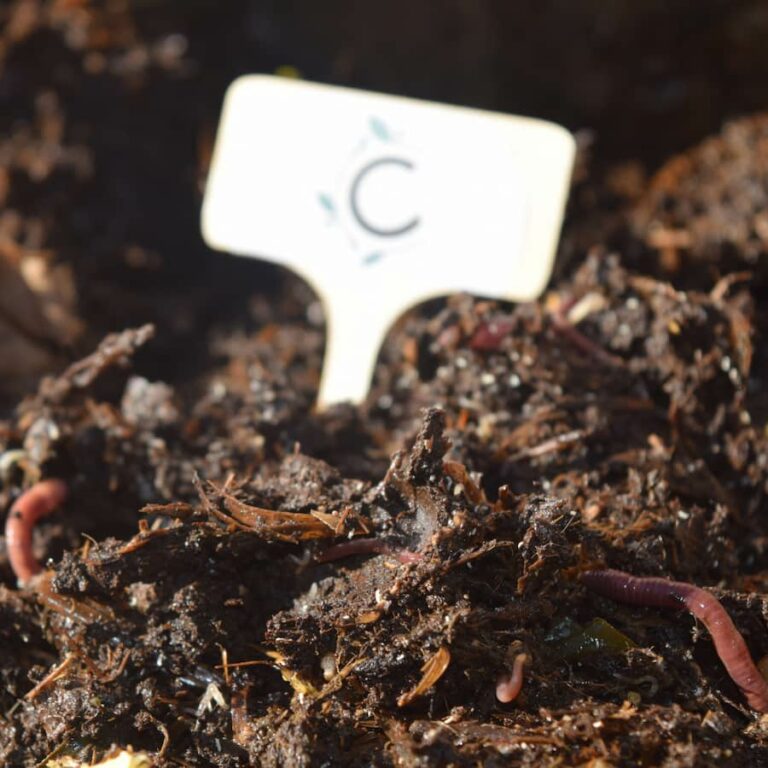 Vers de compost (500g) - Ceercle