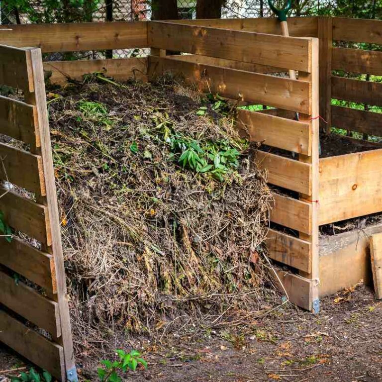Où se procurer un bac à compost ? - Ceercle