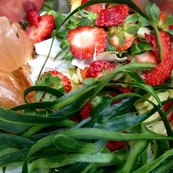 Récolter et utiliser son thé de compost - Ceercle