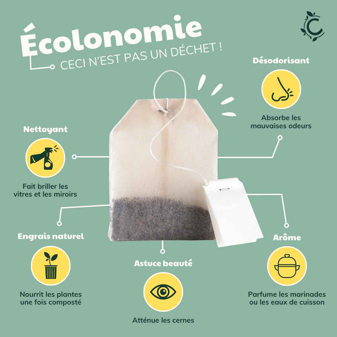 How to recycle tea bags? - Circle