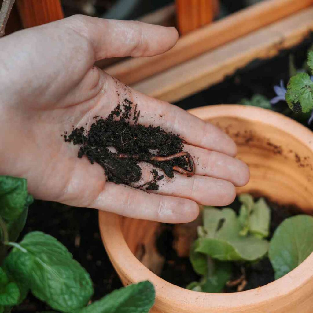 The underground composter: a natural solution for nourishing the soil ...